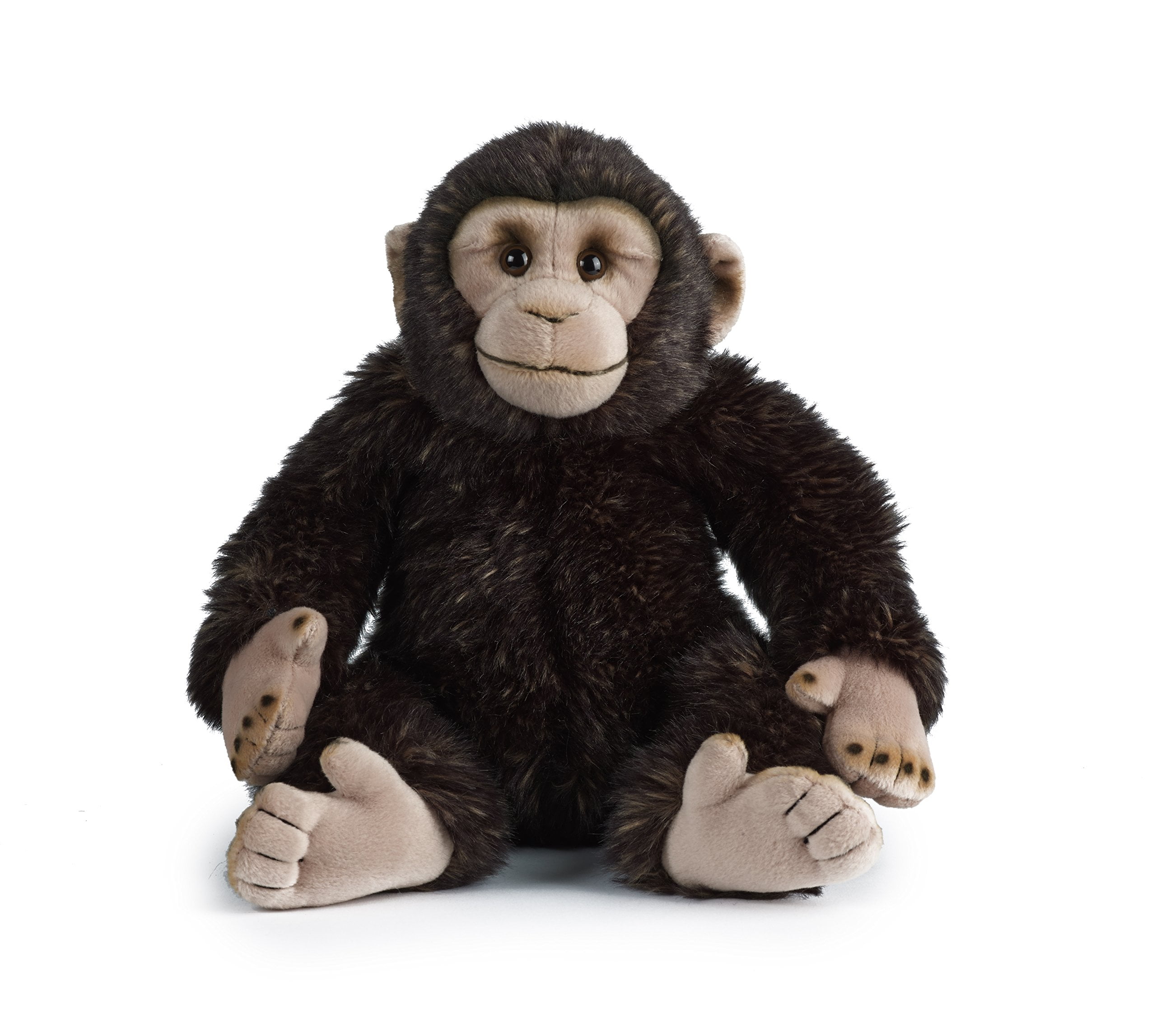 Living Nature Sloth Plush Toy, Realistic Soft Wildlife Animal, 24cm/9 ...