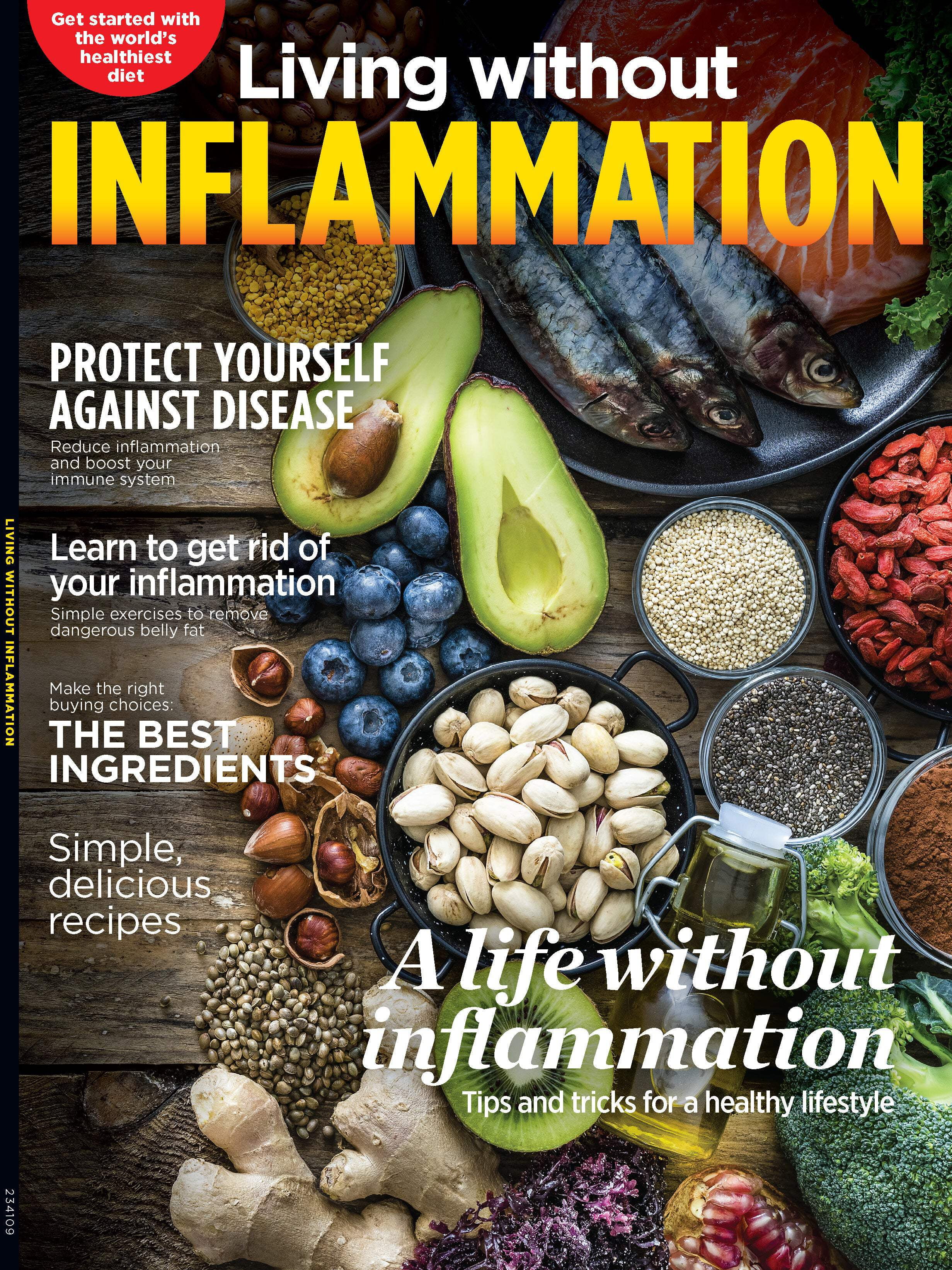 Living Without Inflammation - Ultimate Anti-Inflammatory Diet Guide ...