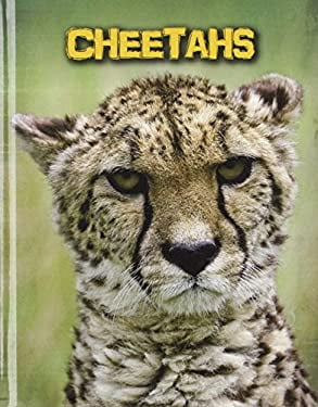 Pre-Owned Cheetahs (Library Binding) 1432981056 9781432981051 - Walmart.com