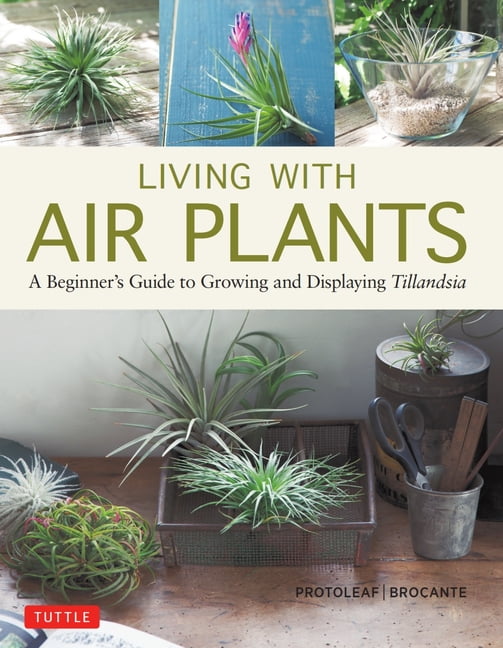 Living with Air Plants: A Beginner's Guide to Growing and Displaying ...