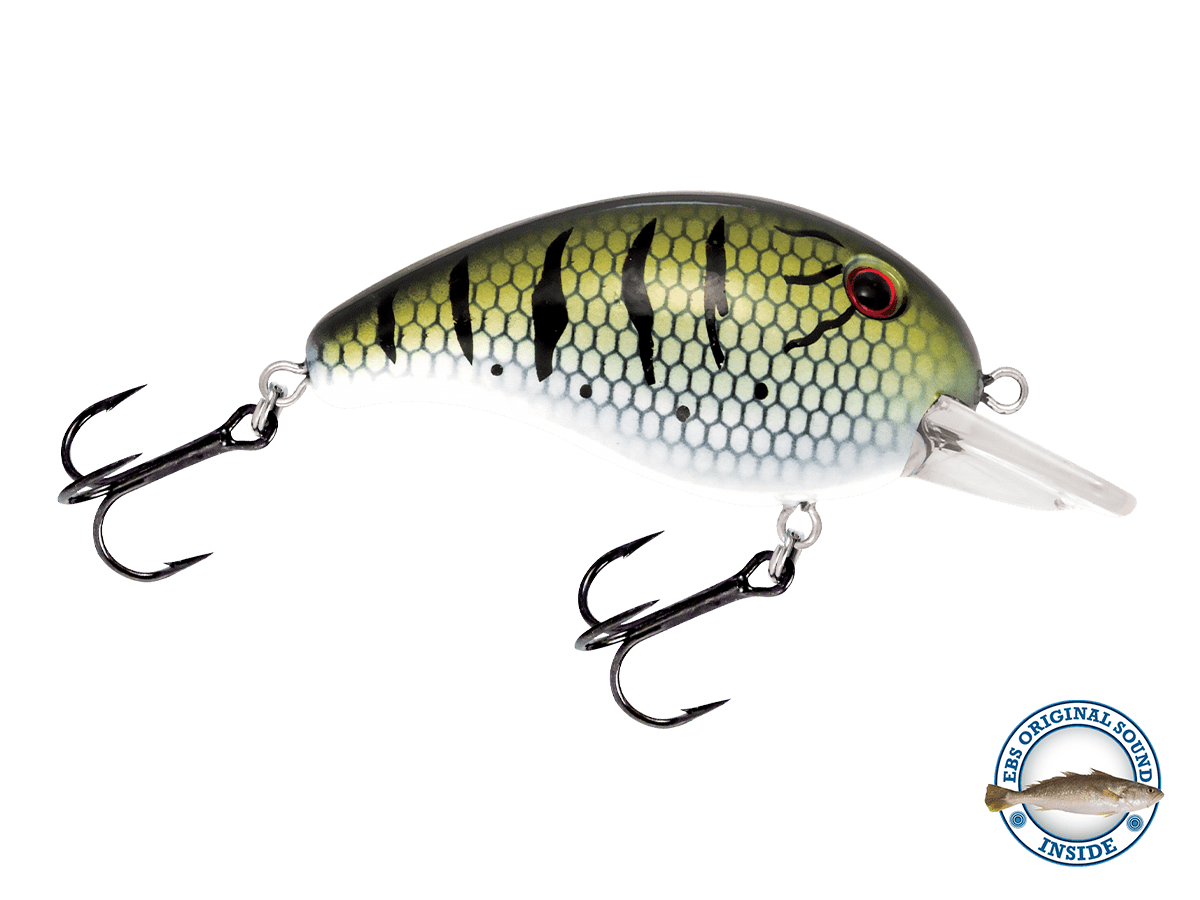 Livingston Lures Dm Jr Pro Series- Baby Bass - Walmart.com