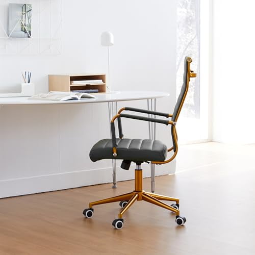 Livinia Modern Executive Office Desk Chair, Chrome & Leather Conference ...