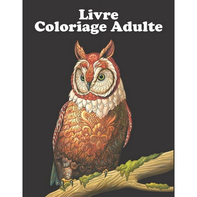 Livre Coloriage Adulte: Idée cadeau pour personnes aimant les Mandalas ...