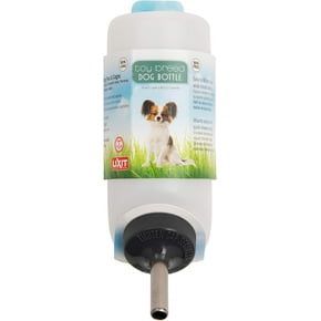 Shop Rabbit Water Bottles for Kids and Adults with Fun Designs