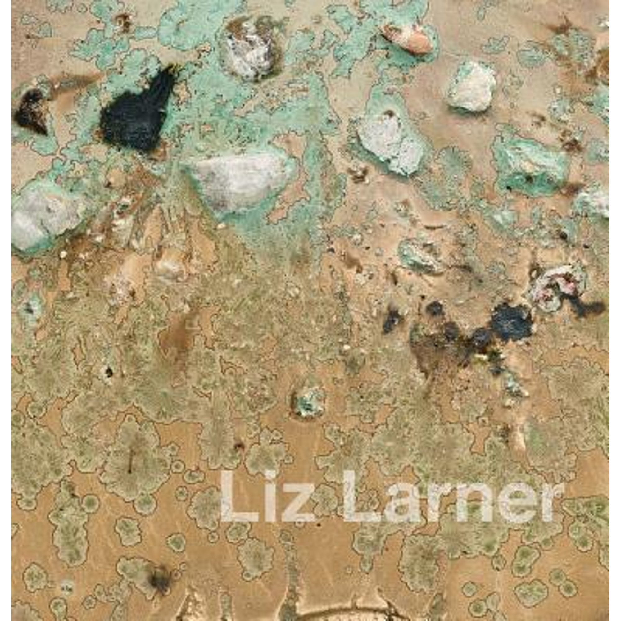 Pre-Owned Liz Larner (Hardcover) by Liz Larner, Peter Pakesch - Walmart.com