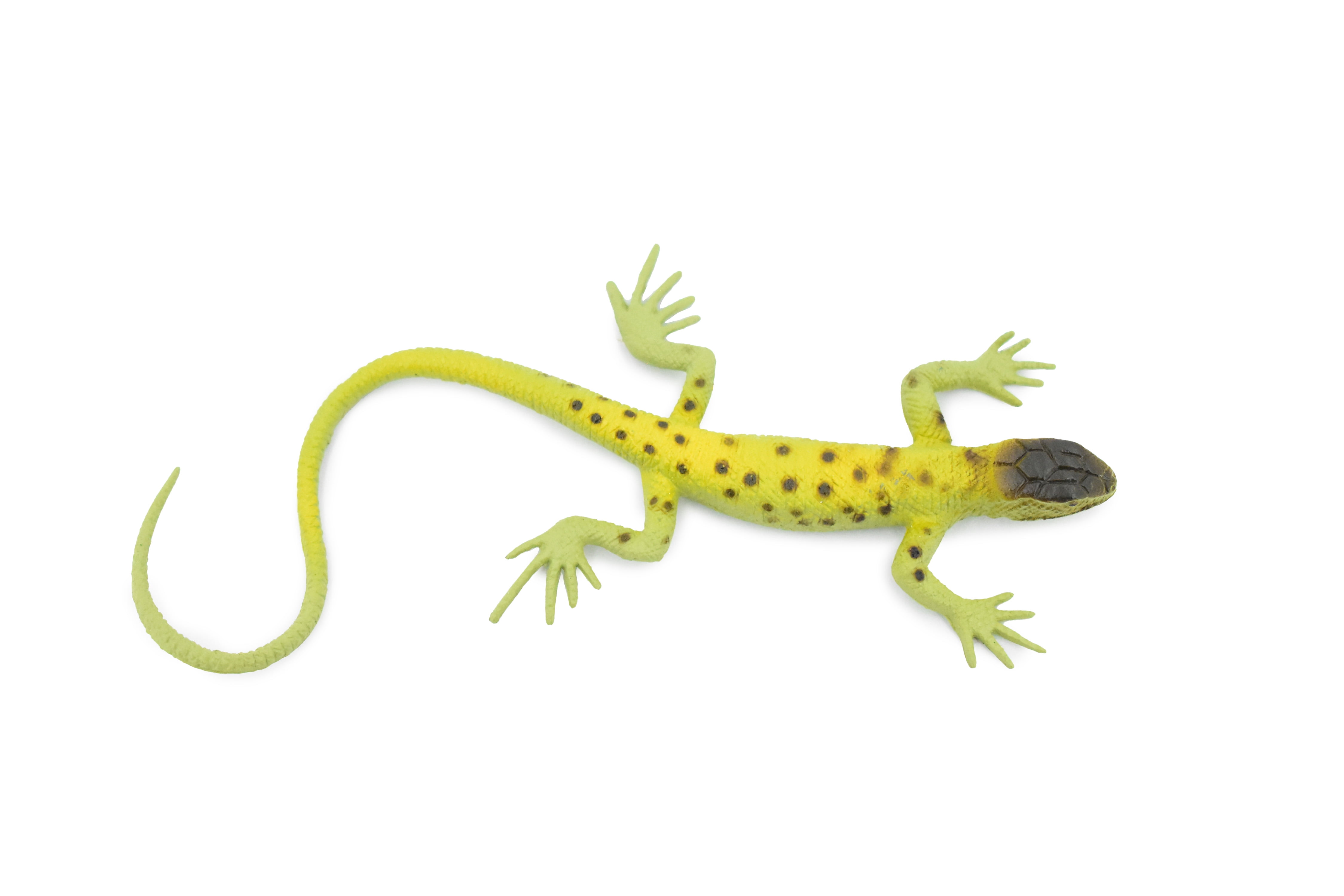 Lizard, Arizona Night Lizard, Rubber, Reptile Toy, Realistic Figure ...