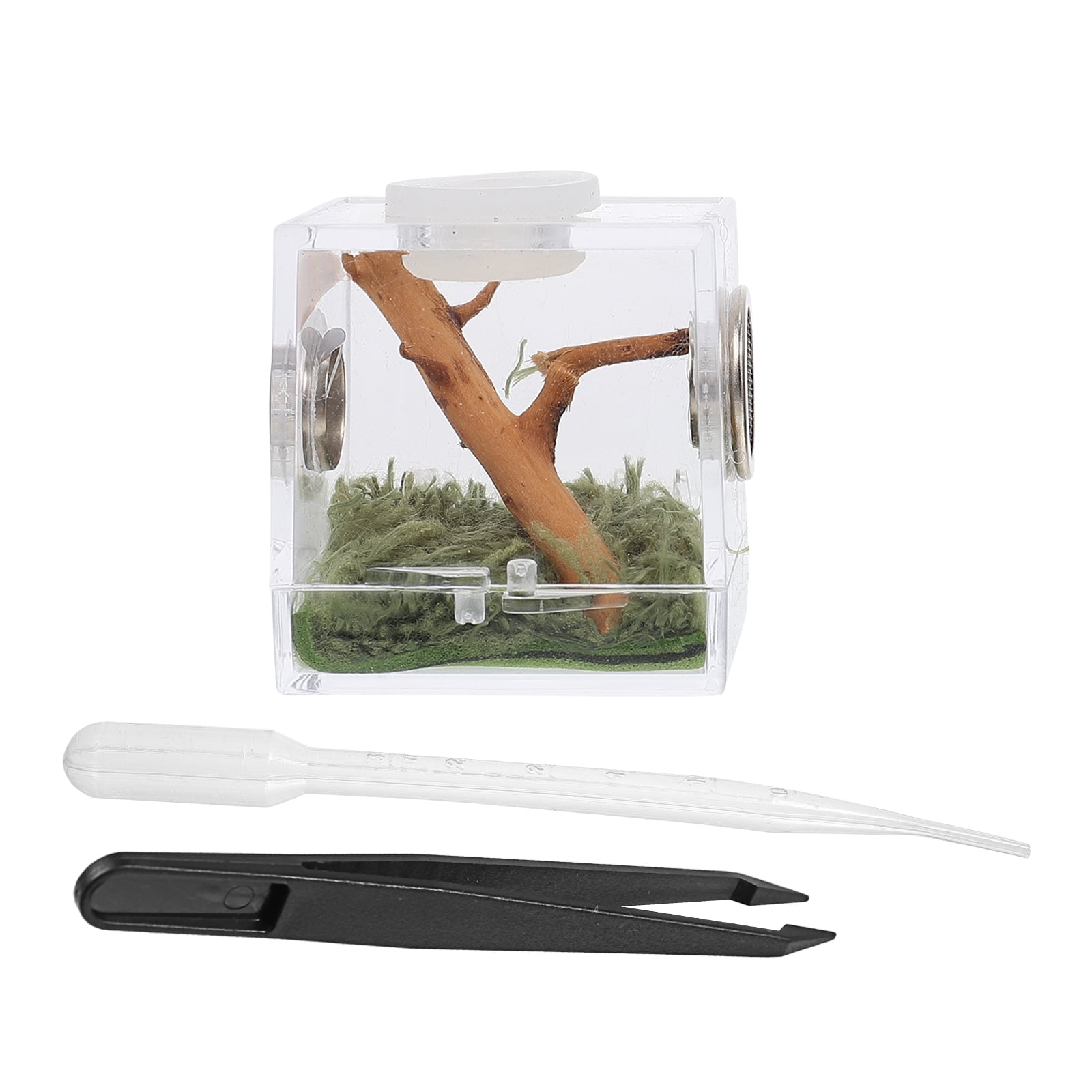 Lizard Cage Frog Tank Jumping Spider Breeding Box Terrariums for ...