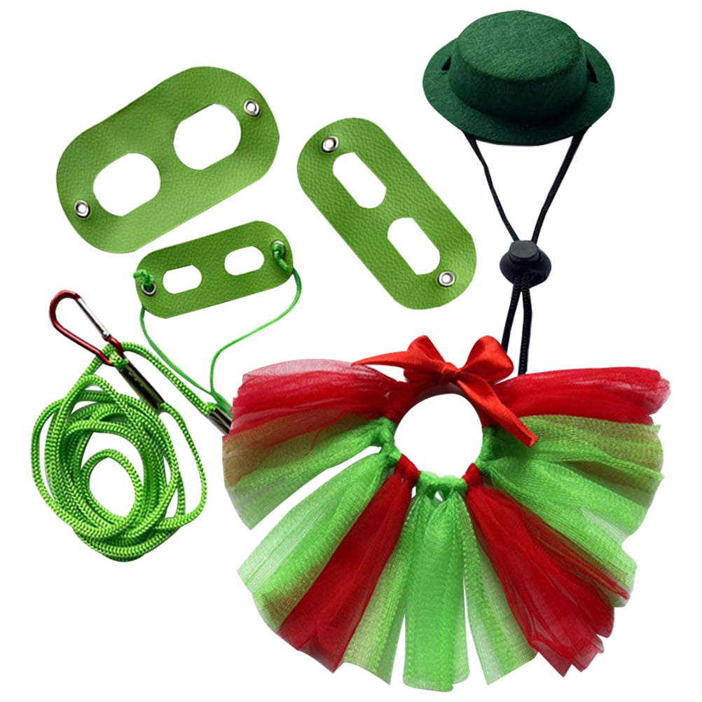 Lizard Dress Lizards Lizard Outdoor Rope Reptile Harness Leash Outdoor ...