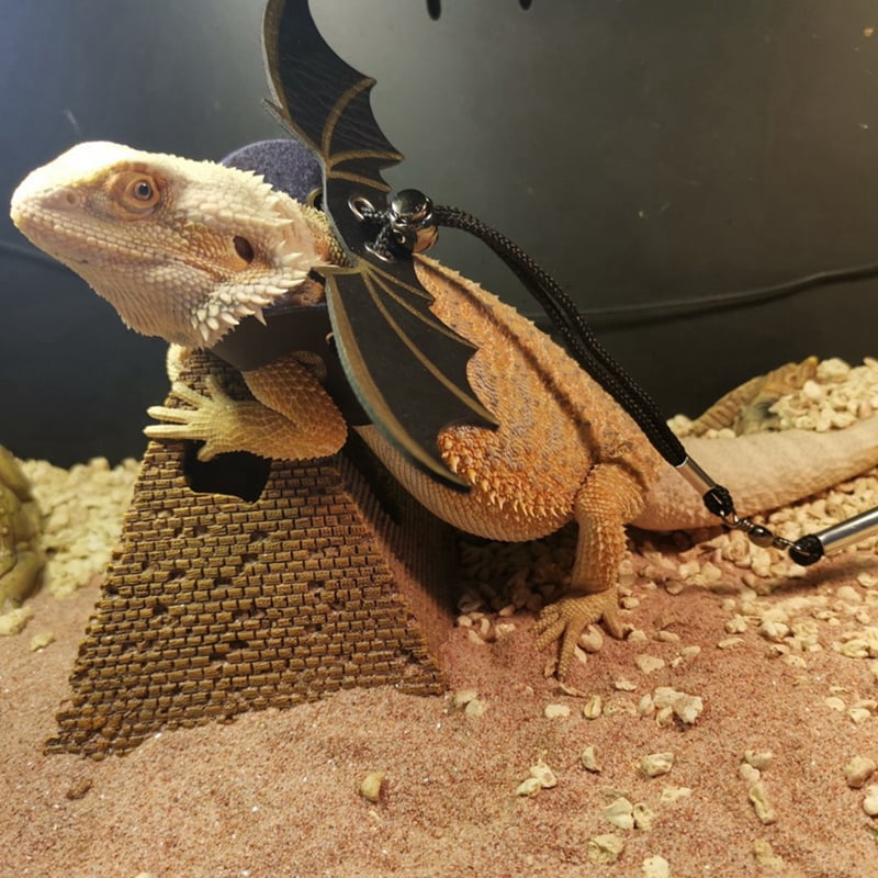 Lizard Harness Leash Set, Climbing Pet Going Out Leather Wing Chest ...