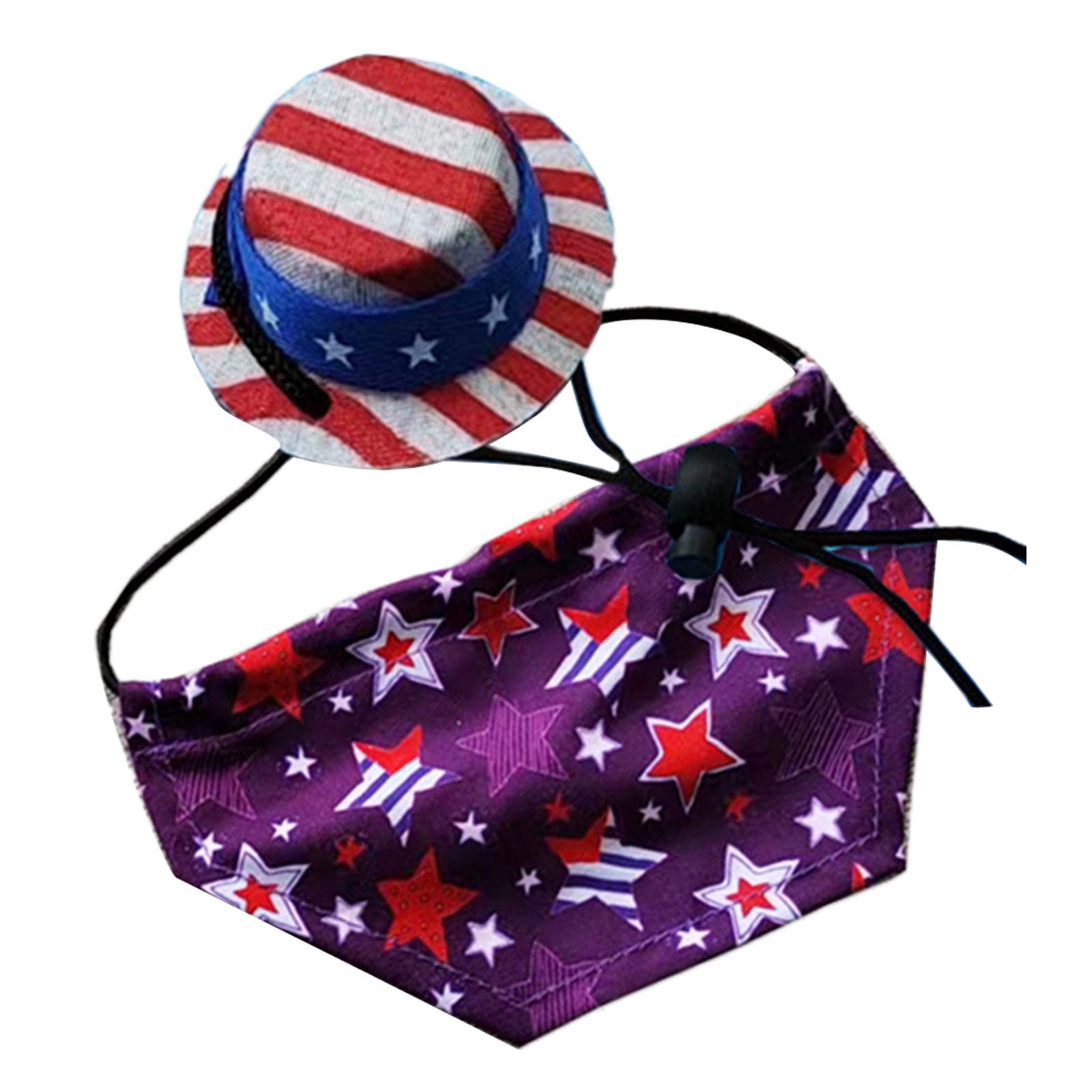 Lizard Holiday Clothes Bearded Dragon Costume Set Independence Day Hat ...