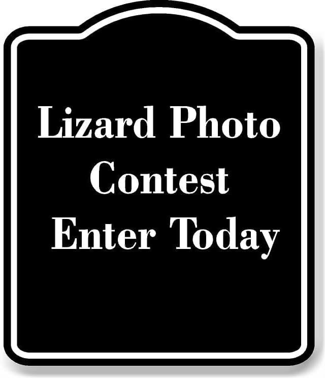Lizard Photo Contest Enter Today BLACK Aluminum Composite Sign 20''x24 ...