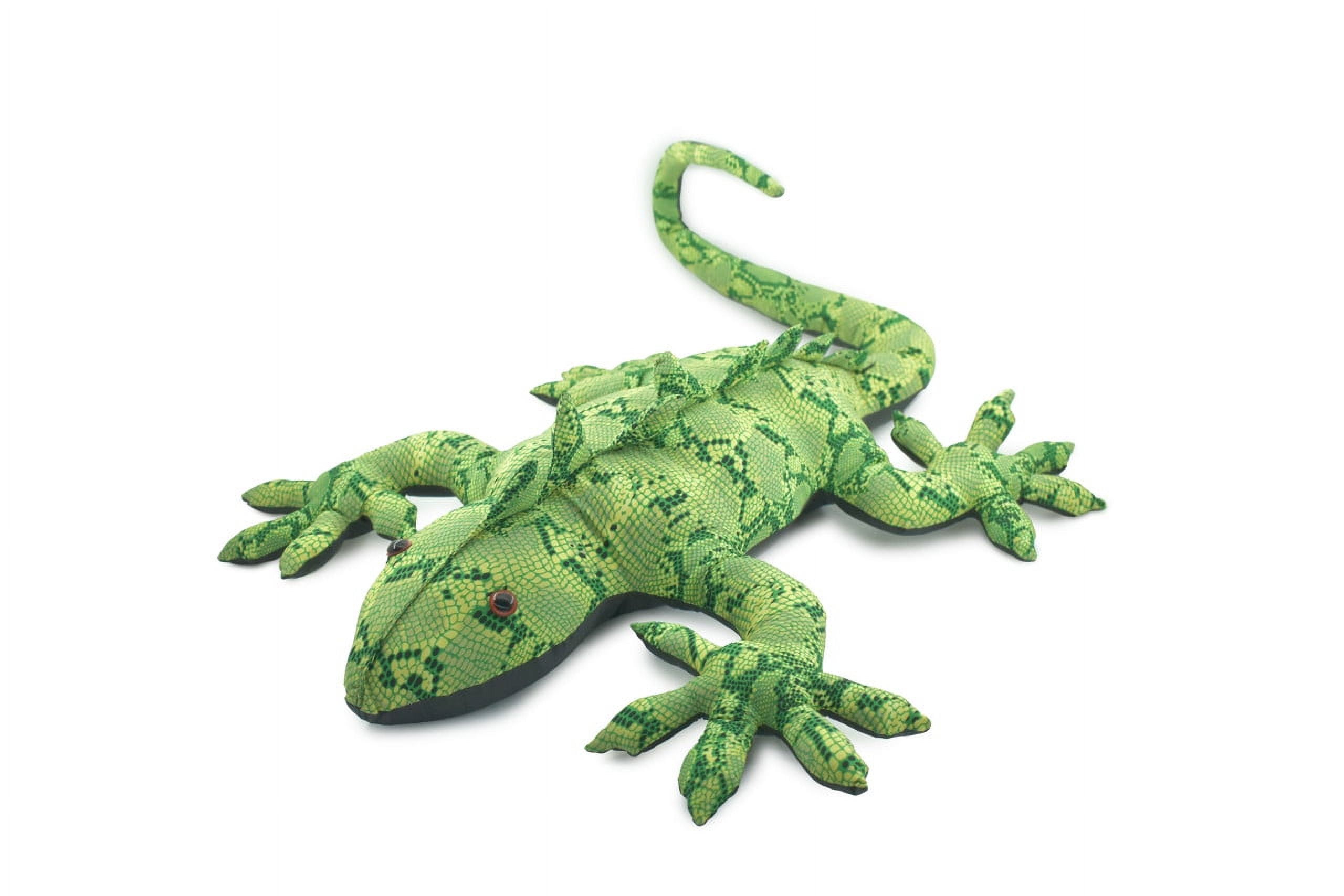 Lizard, Reptiles, Iguana, Green, Herbivorous lizards, Hand Made in ...
