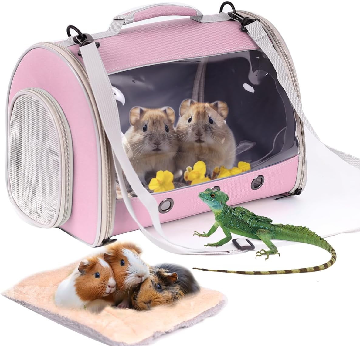 Lizard Travel Carrier Backpack,Guinea Pig Backpack Carrier,Space ...