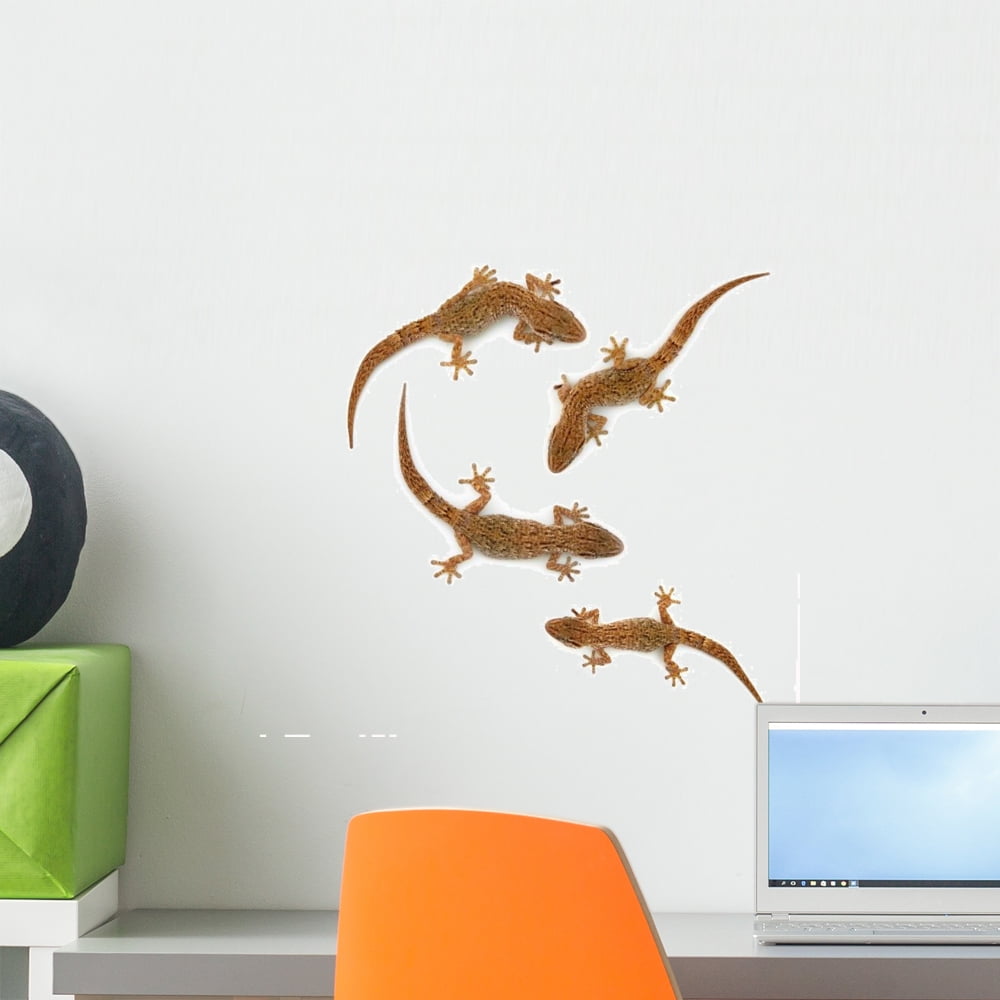 Lizard Wall Decal by Wallmonkeys Peel and Stick Graphic (18 in W x 12 ...