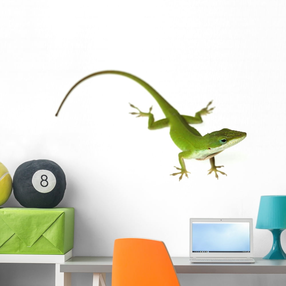 Lizard Wall Decal by Wallmonkeys Peel and Stick Graphic (36 in W x 21 ...