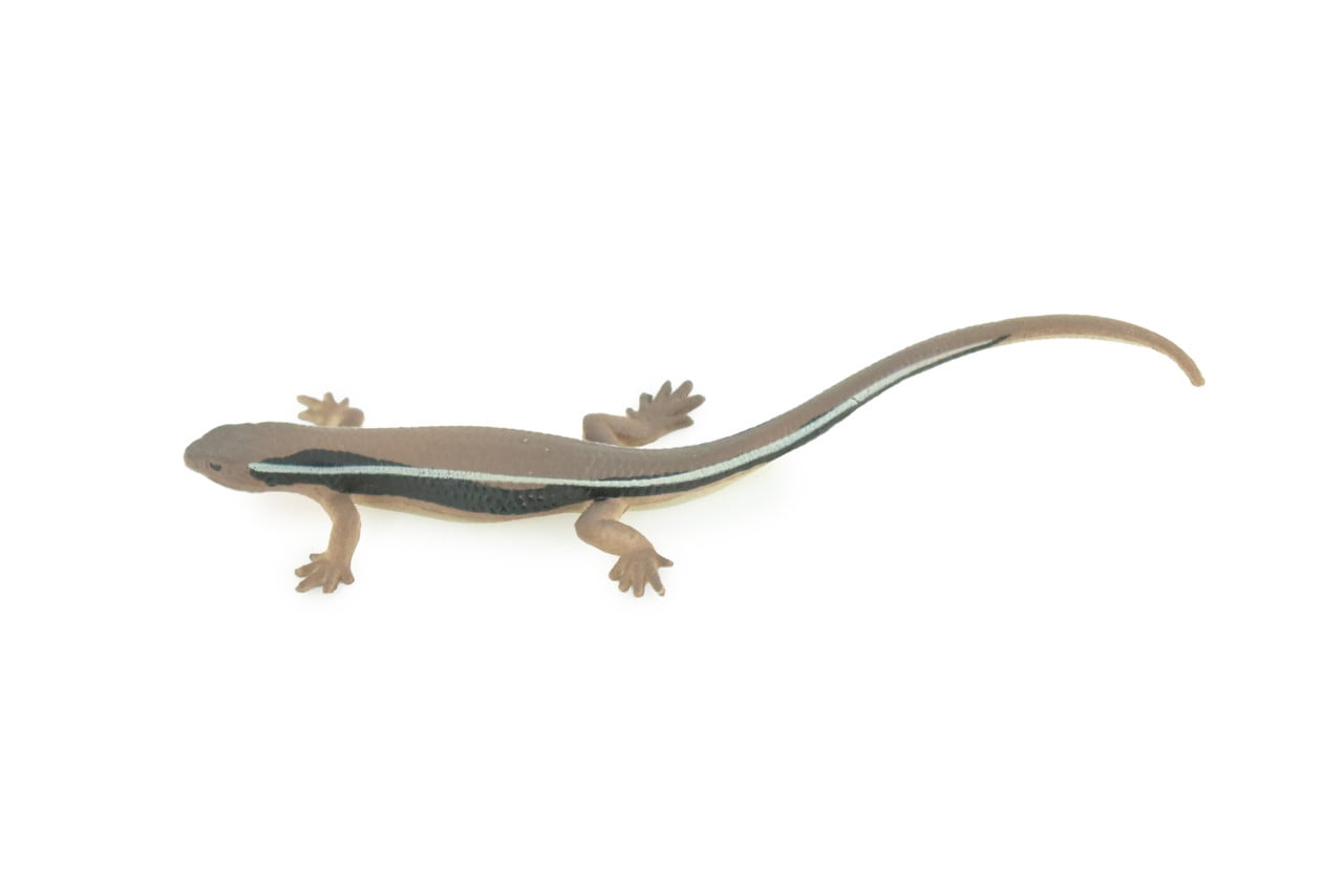 Lizard, Wall Skink, Hand Painted, Museum Quality, Educational, Rubber ...