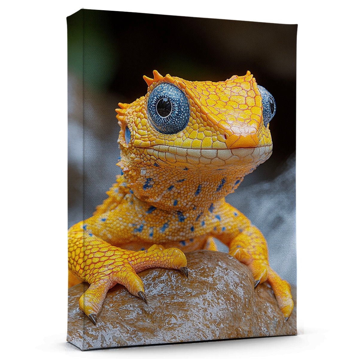 Lizard Yellow Uromastyx Art Print Canvas, Animal Decor for Bedroom ...