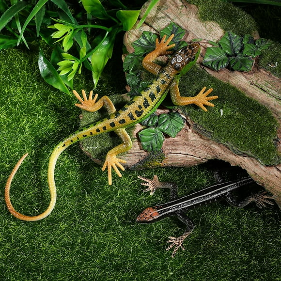 Rubber Lizards