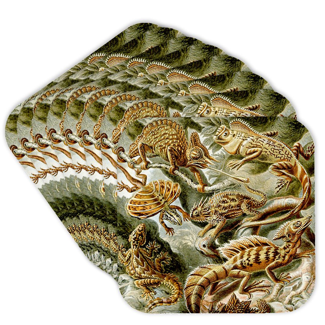 3drose, Lizards and Reptiles Art Print - Reptile Breeds and Species ...