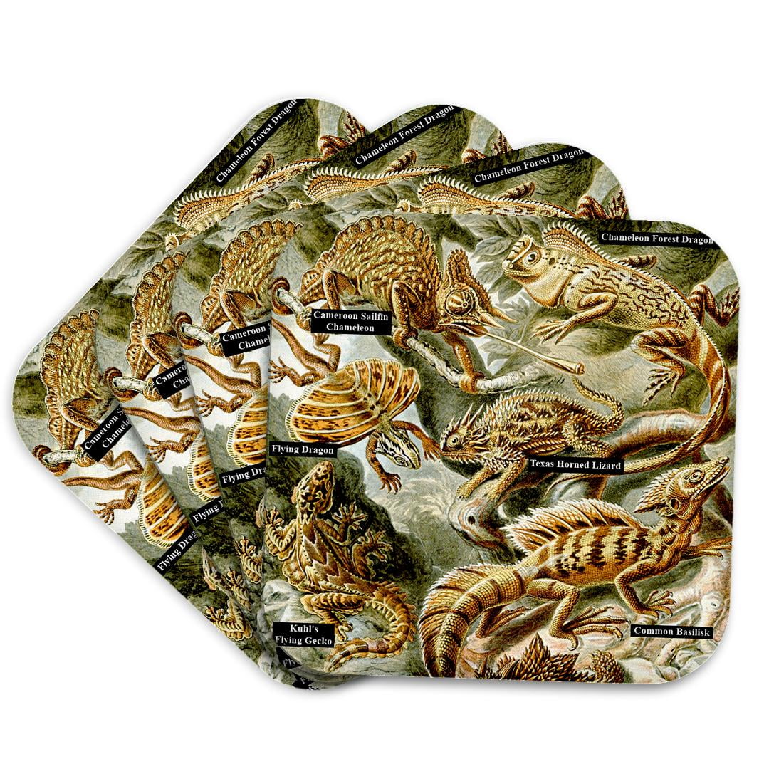 3drose, Lizards and Reptiles with Name Labels Reptile Identification ...