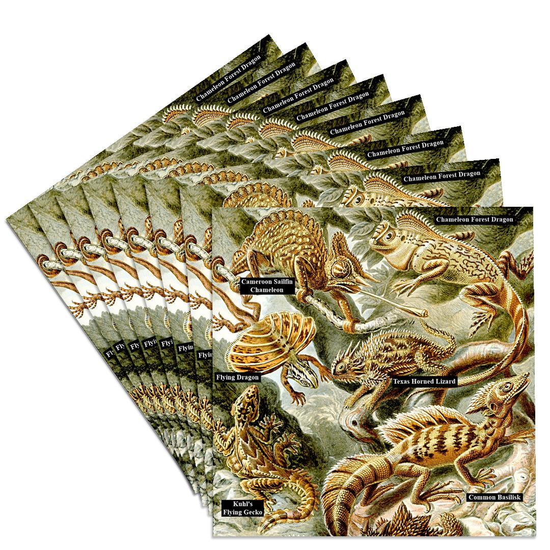 Lizards And Reptiles With Name Labels Reptile Identification Chart, set ...