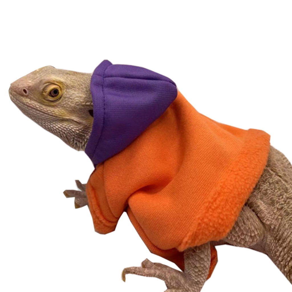 Lizards Clothes for Bearded Dragon Geckos Reptiles Apparel Hand-made ...