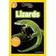 Lizards (Paperback) - Walmart.com