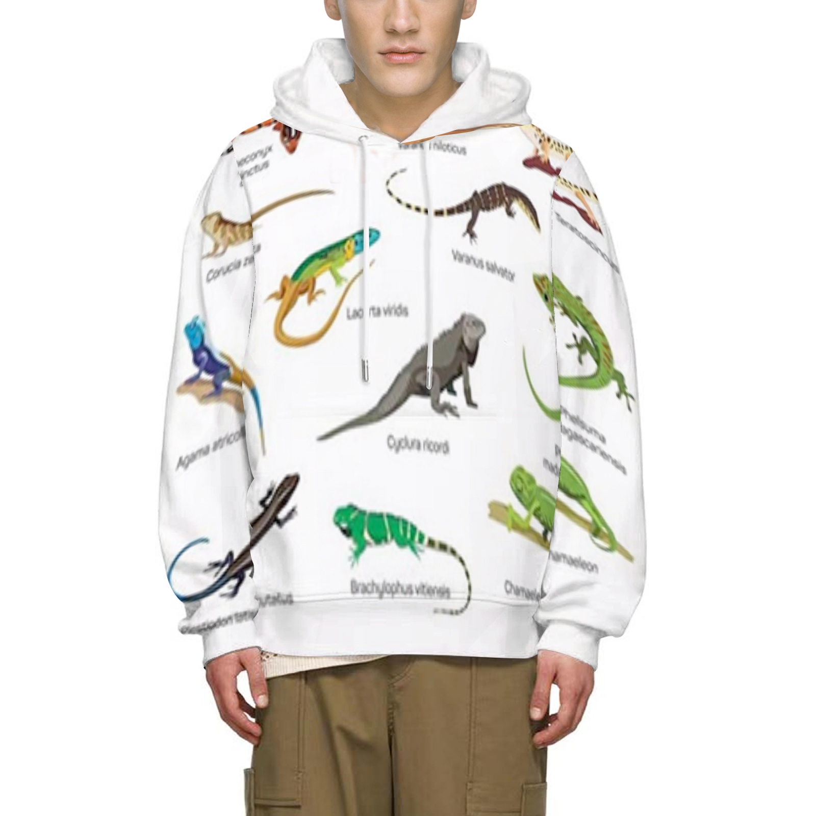 Lizards,Sports Running Hoodie With Loose Fit,Lizards Vector in Flat ...