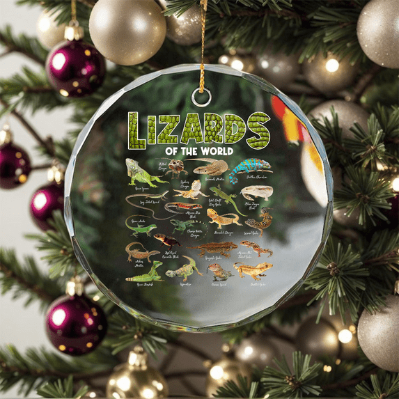 Lizards of the World Reptile Educational Herpetology Animal (1 ...