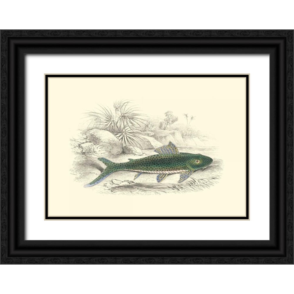 Lizars, W.H. 14x11 Black Ornate Wood Framed with Double Matting Museum ...