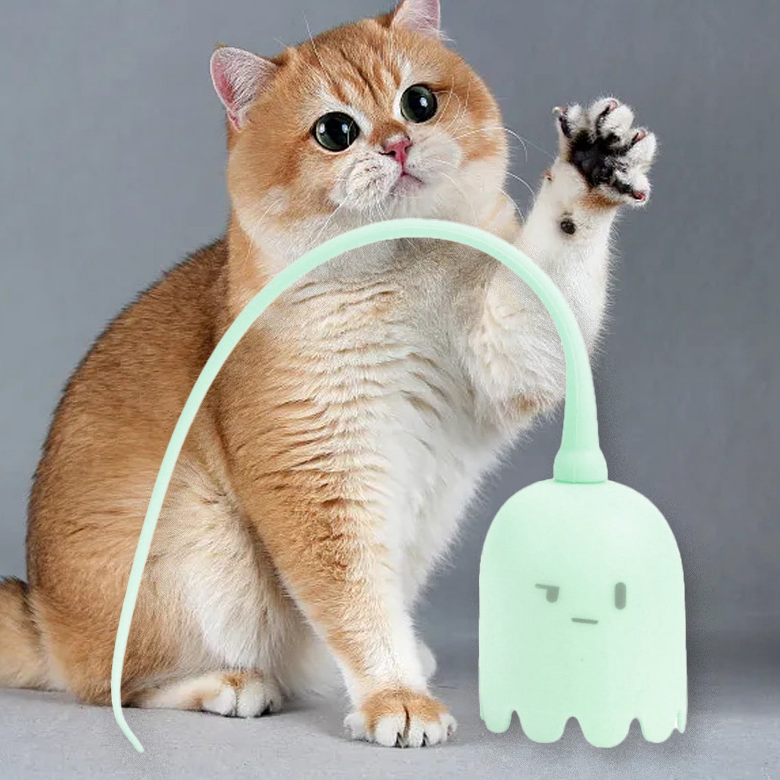 Lizheee Hide And Seek Dog Carrot Indoor Cat Toys Interactive Cat Toys ...