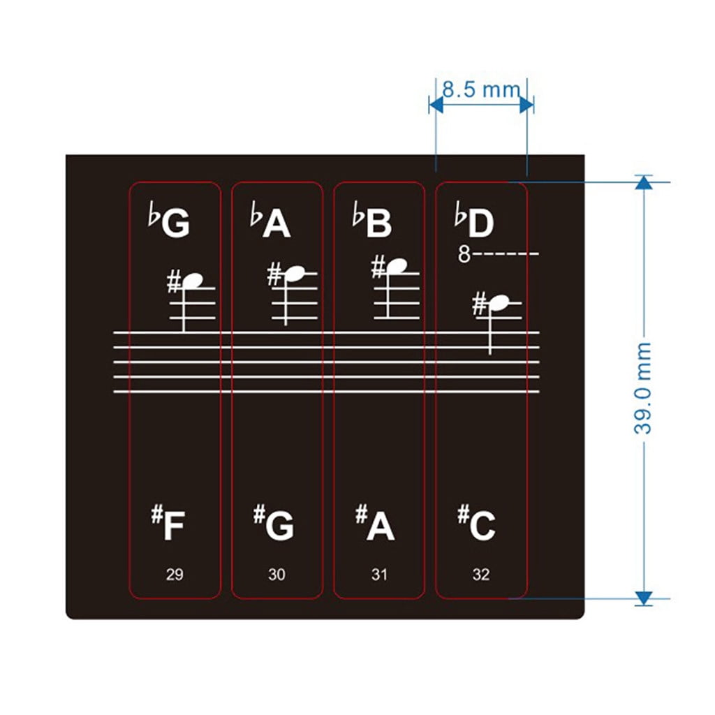 Lizheee Universal Piano Learner Stickers Music Piano88/61/54/49Key Note ...