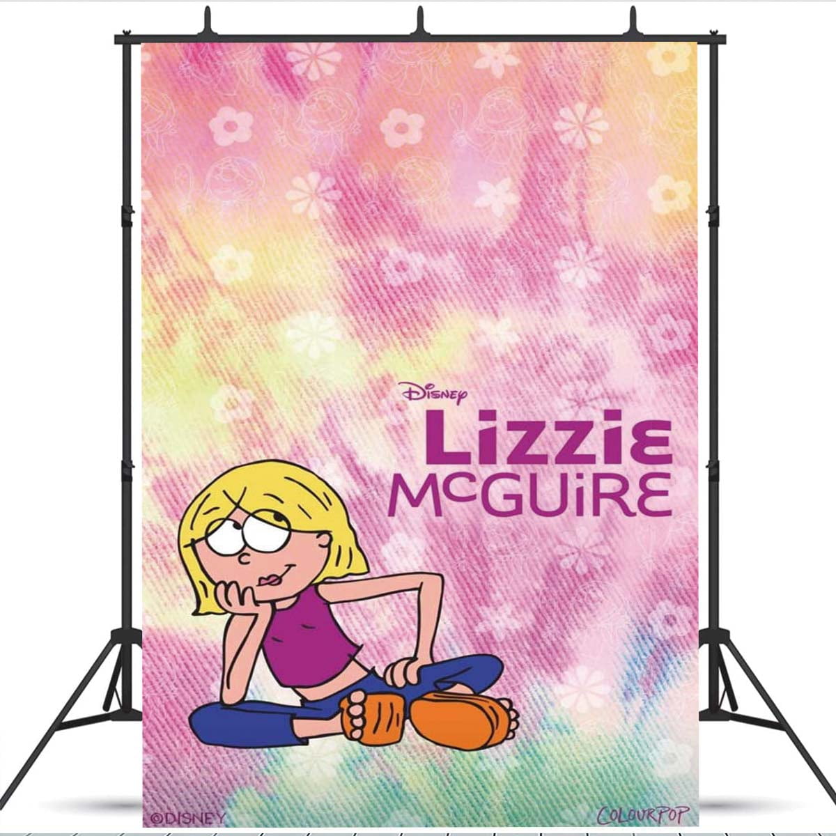 Lizzie Mcguire Backdrop school Taspestry Wall Decor Banner Party ...