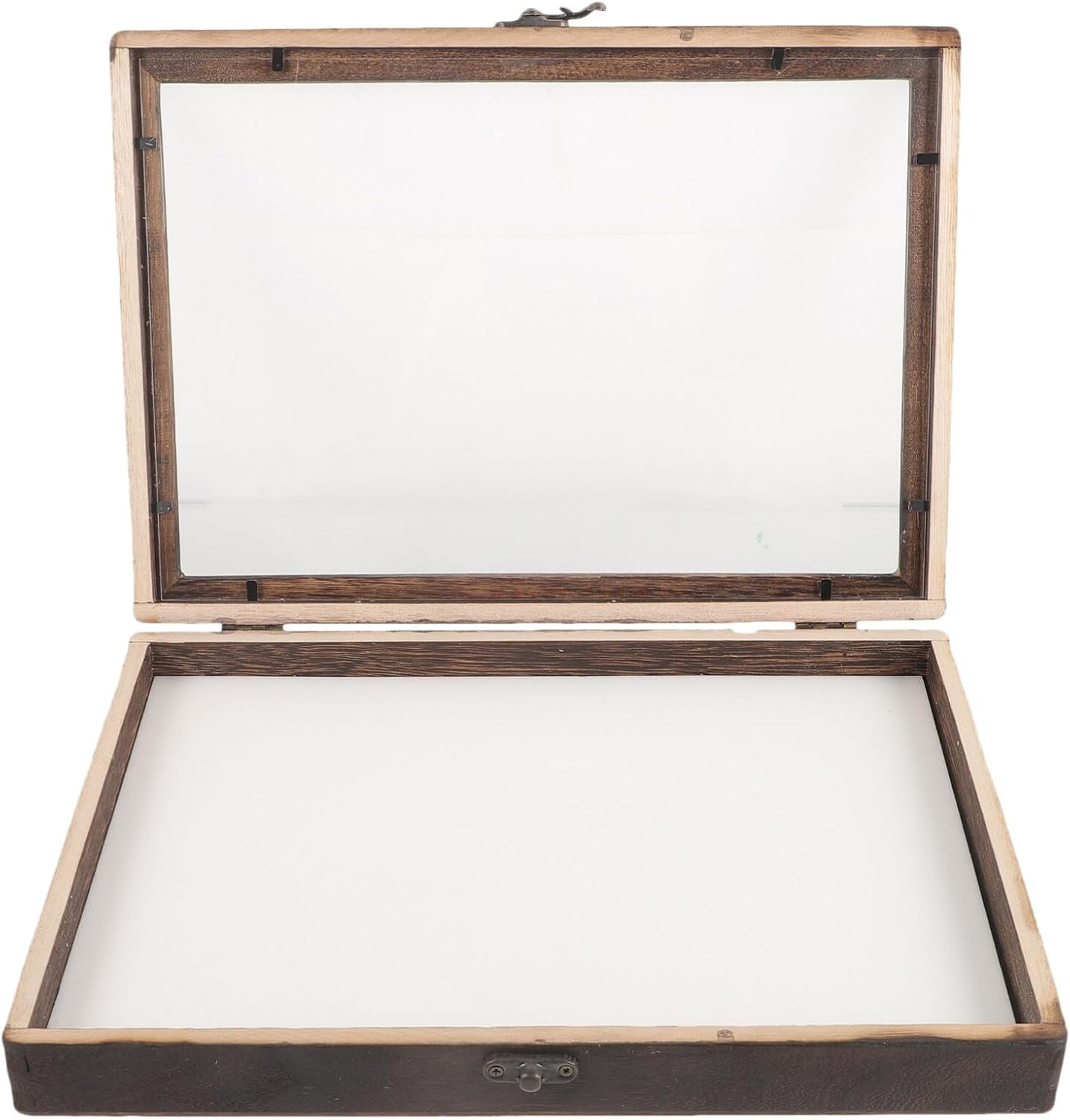 Ljia Insect Display Case with Clear Top Foam Pin Board Specimen ...