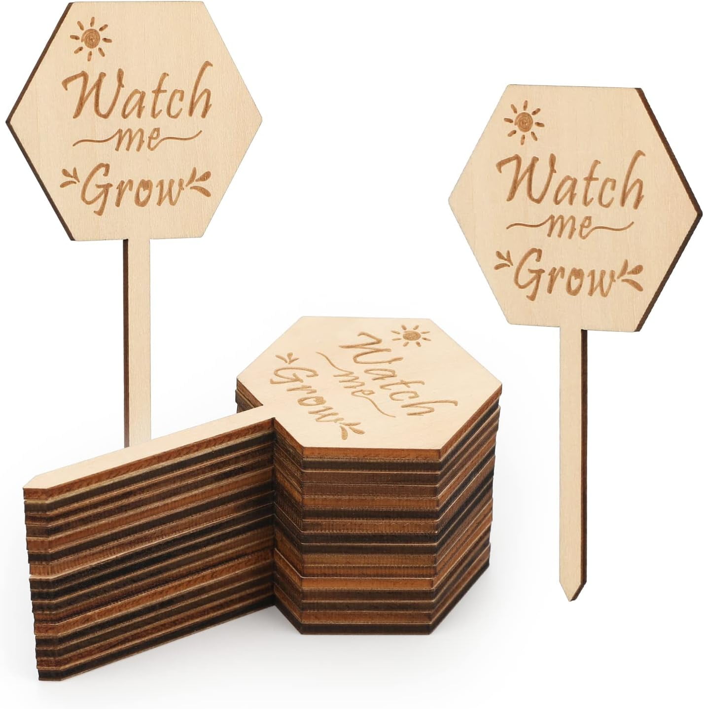 Ljia Watch Me Grow Succulent Tags,24 Pcs Wood Plant Labels Gift for ...