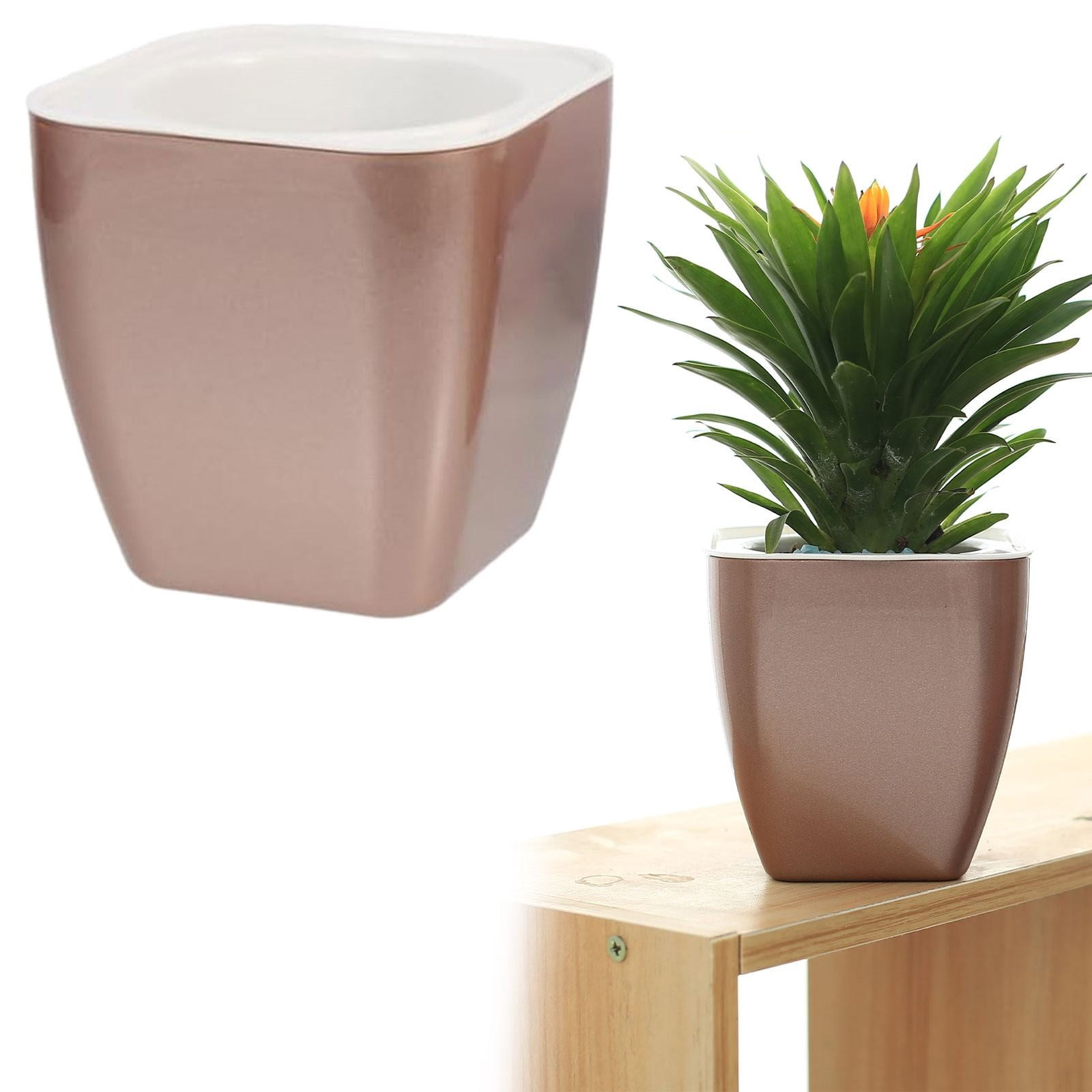 Ljxge Automatic Watering Pot, Grow Tracking Small Cactus Pot, Lazy ...