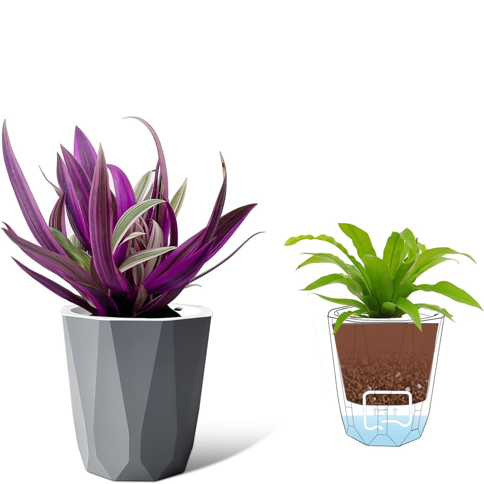 Ljxge Self Watering Pots for Indoor Plants, African Violet Pots for ...