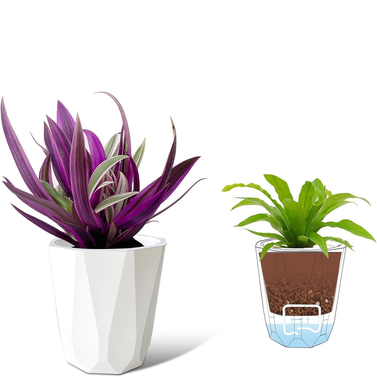 Ljxge Self Watering Pots for Indoor Plants, African Violet Pots for ...