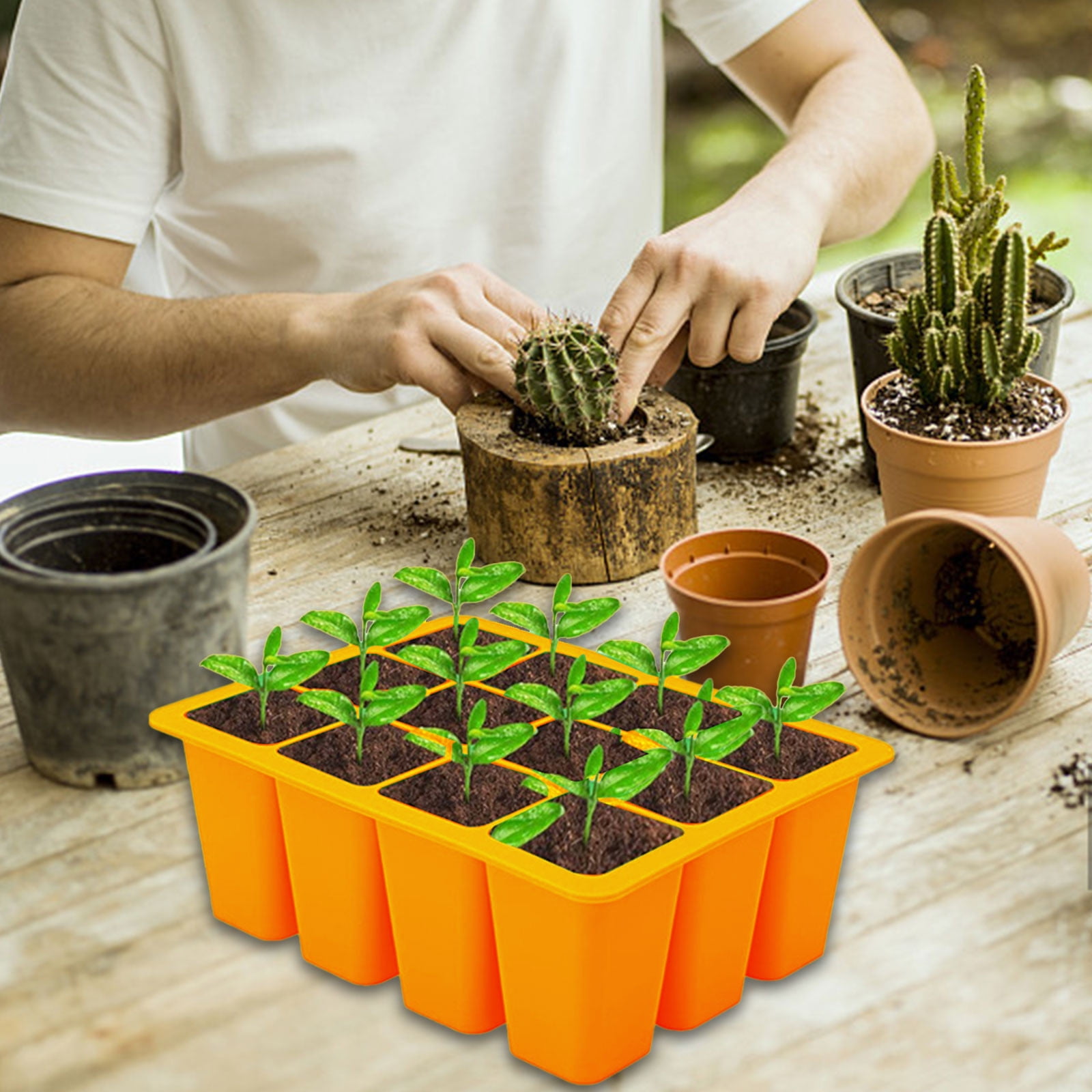 Lksixu Silicone Seed Starter Tray, Reusable Seed Germination Kit with ...