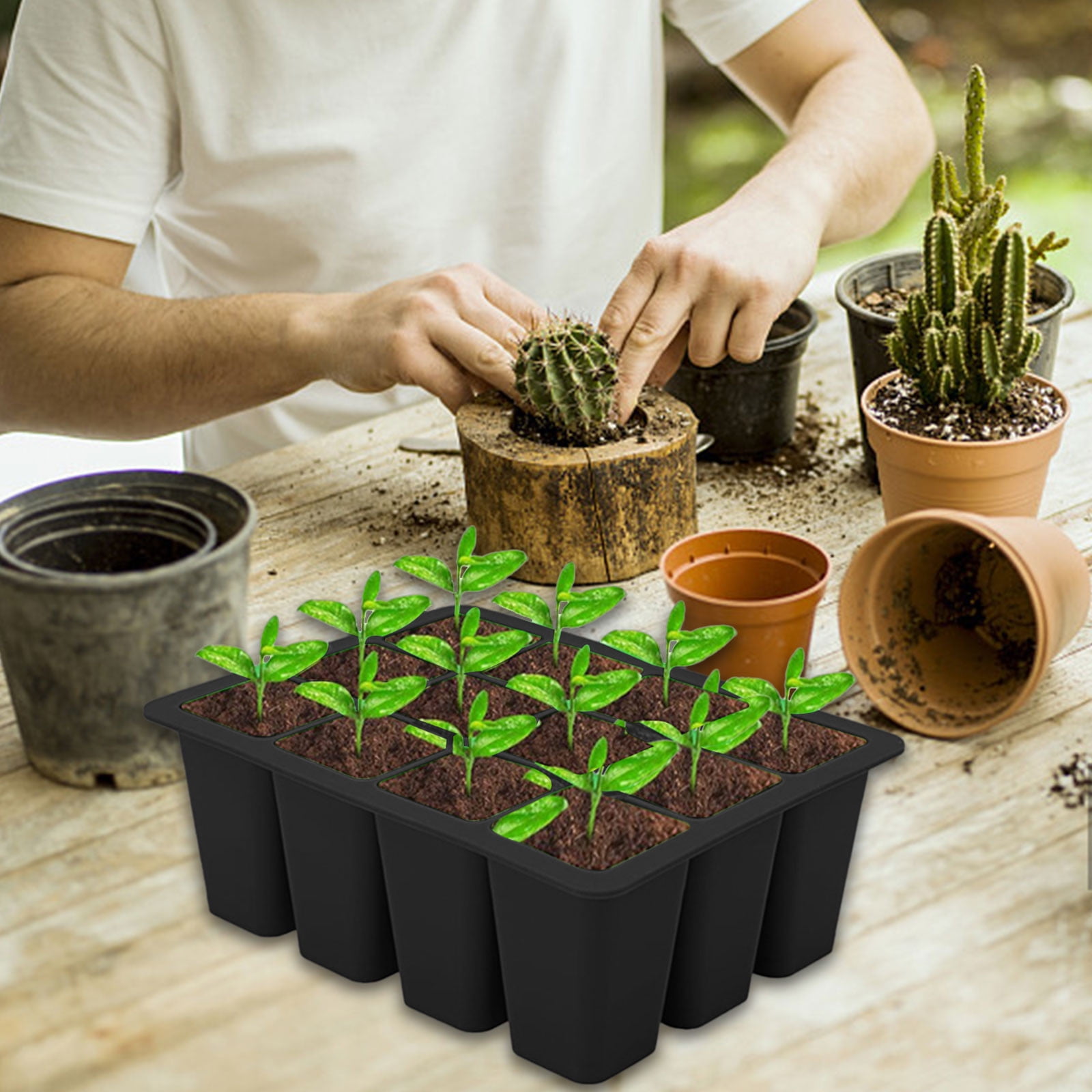 Lksixu Silicone Seed Starter Tray, Reusable Seed Germination Kit with ...