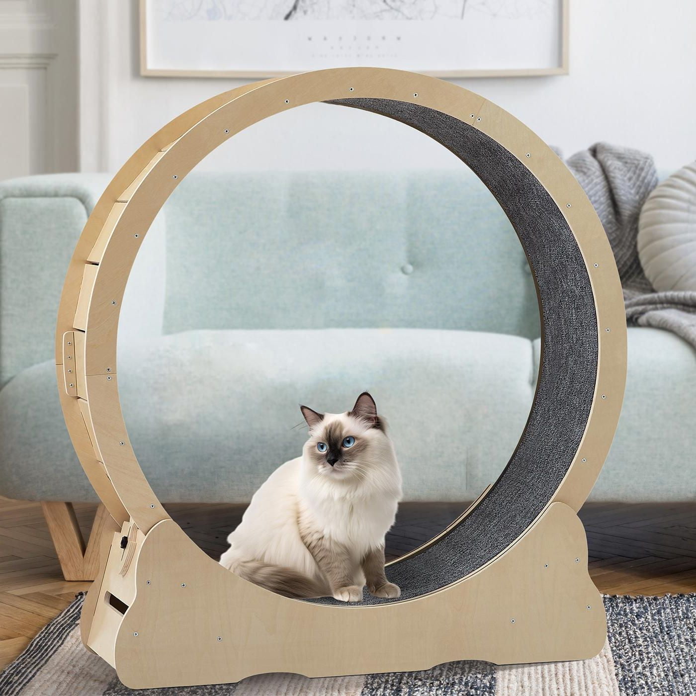 Llinc Store 39.4" Cat Exercise Wheel Indoor Cat Treadmill with Carpeted ...