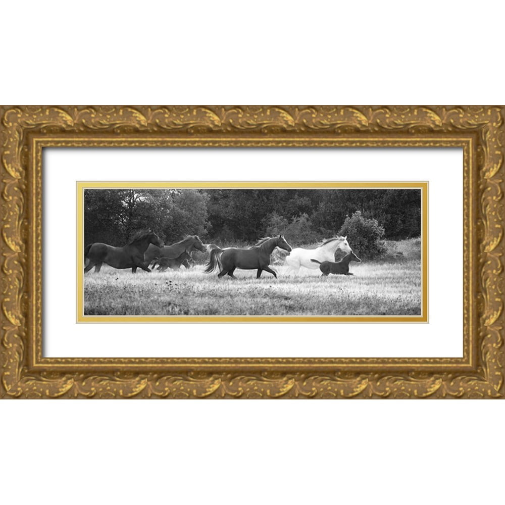 Llovet, Jorge 24x12 Gold Ornate Wood Framed with Double Matting Museum ...