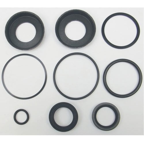 Loader Seal Kit fits Hydraulics Cylinders fits Farmhand F11-B 1R3113 ...