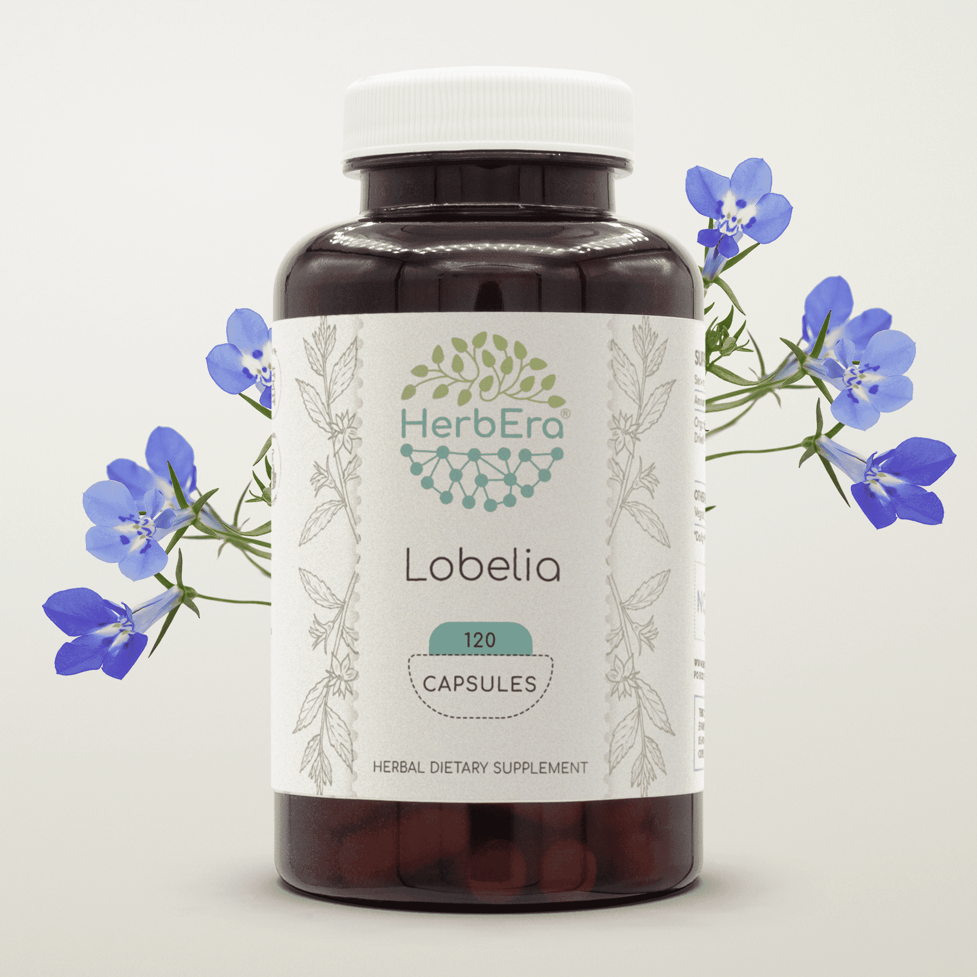 Herbera Lobelia Capsules, Herbal Dietary Supplement for Respiratory ...
