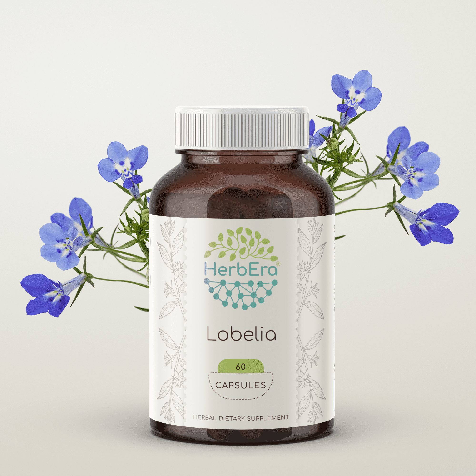Lobelia 60 Capsules, 500 mg, Responsibly farmed organic Lobelia ...