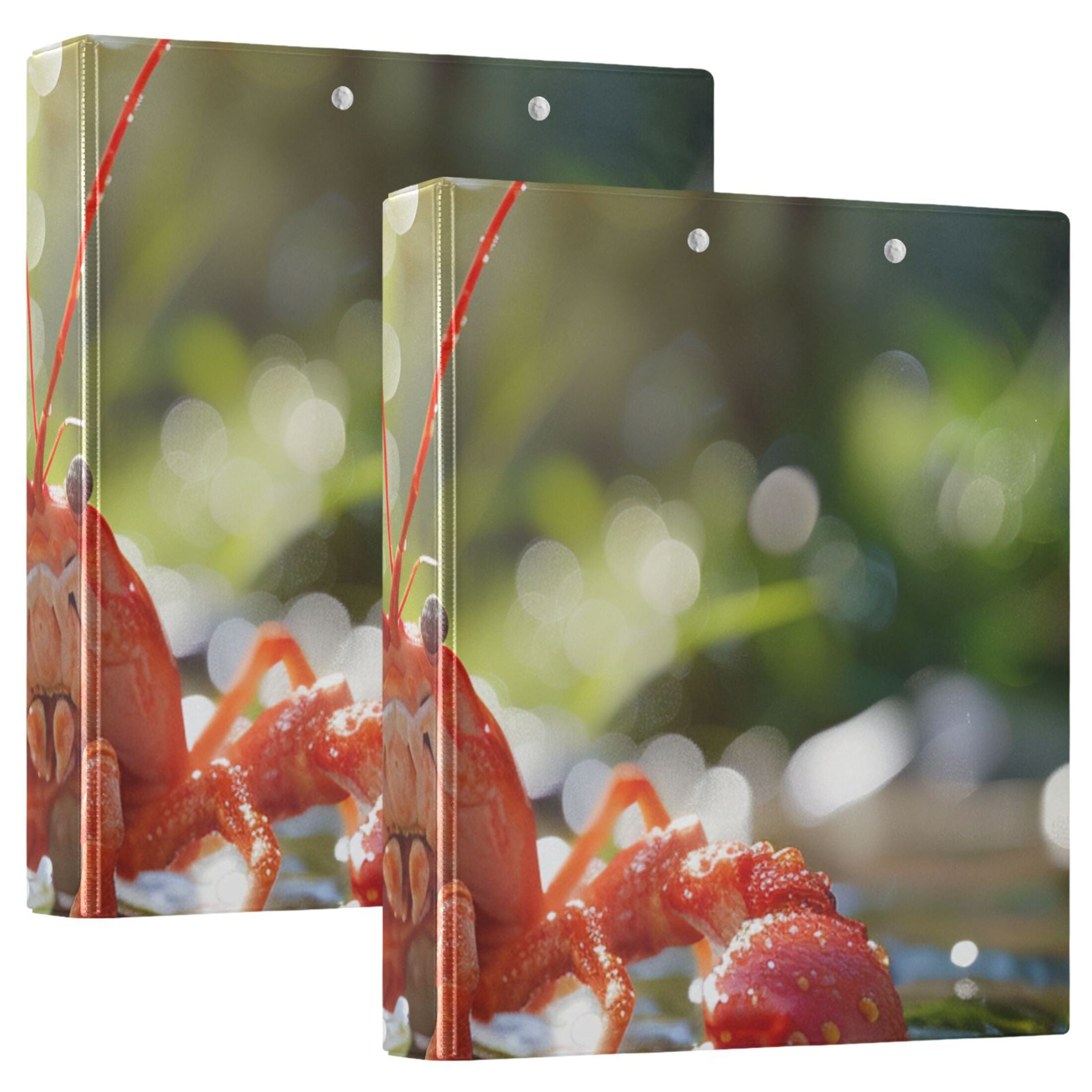 Lobster 3 Ring Binders 1.5 inch Hardcover File Folders with Interior Pockets A4 Size Organizer ...