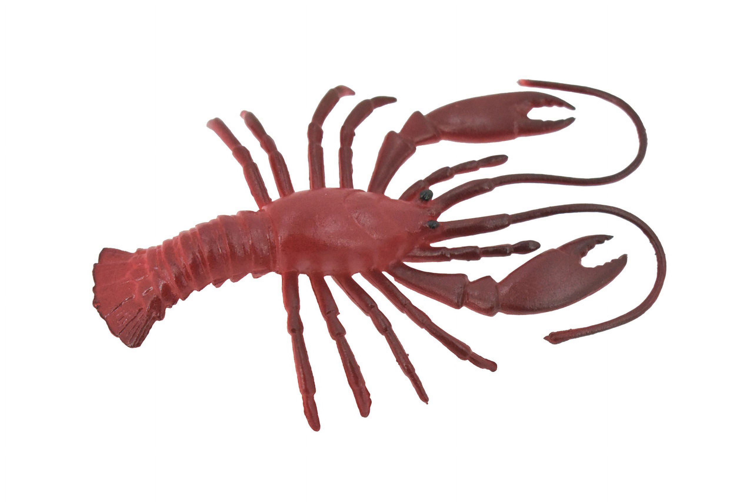 Lobster, Crayfish, Crawdad Design, Red, Museum Quality, Rubber ...