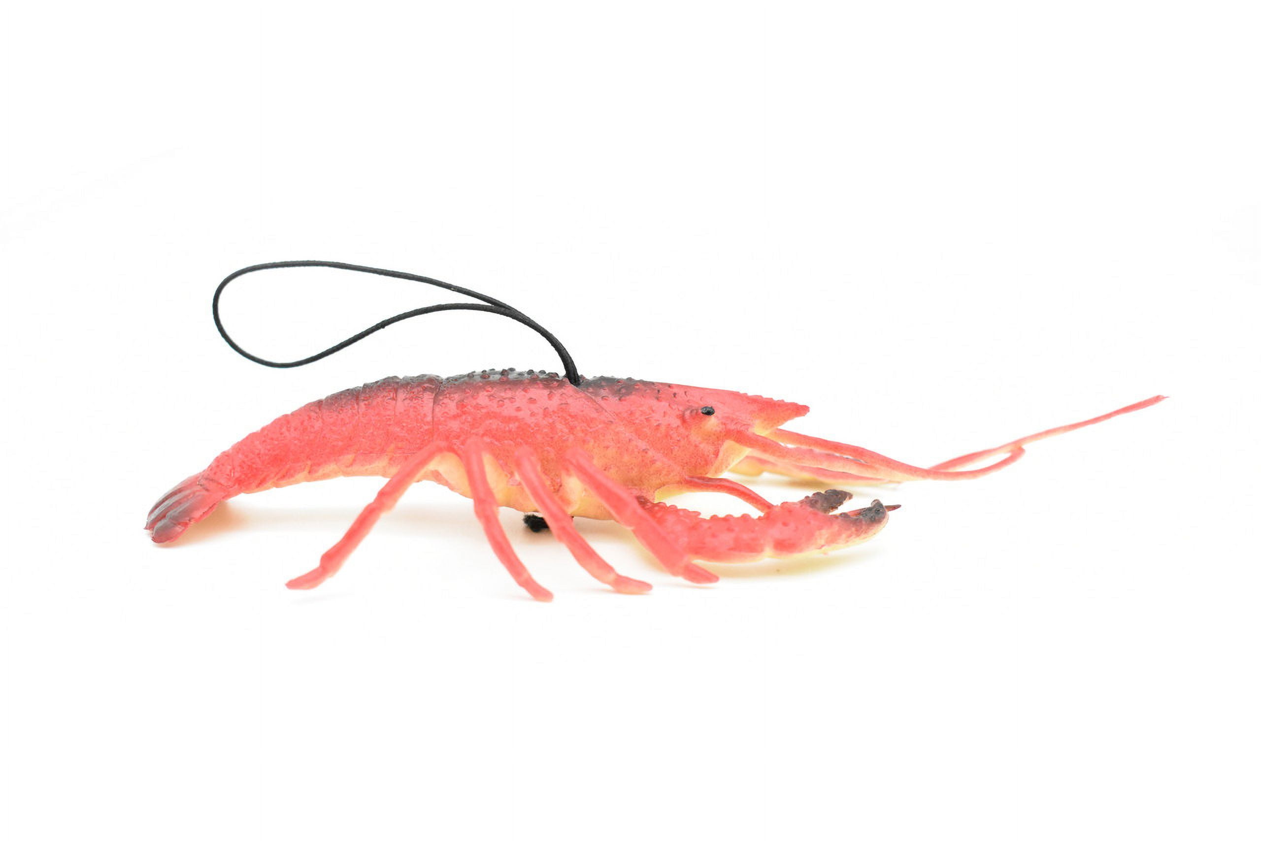Lobster, Crayfish, Crawdad Design, Red, Rubber Crustaceans, Educational ...