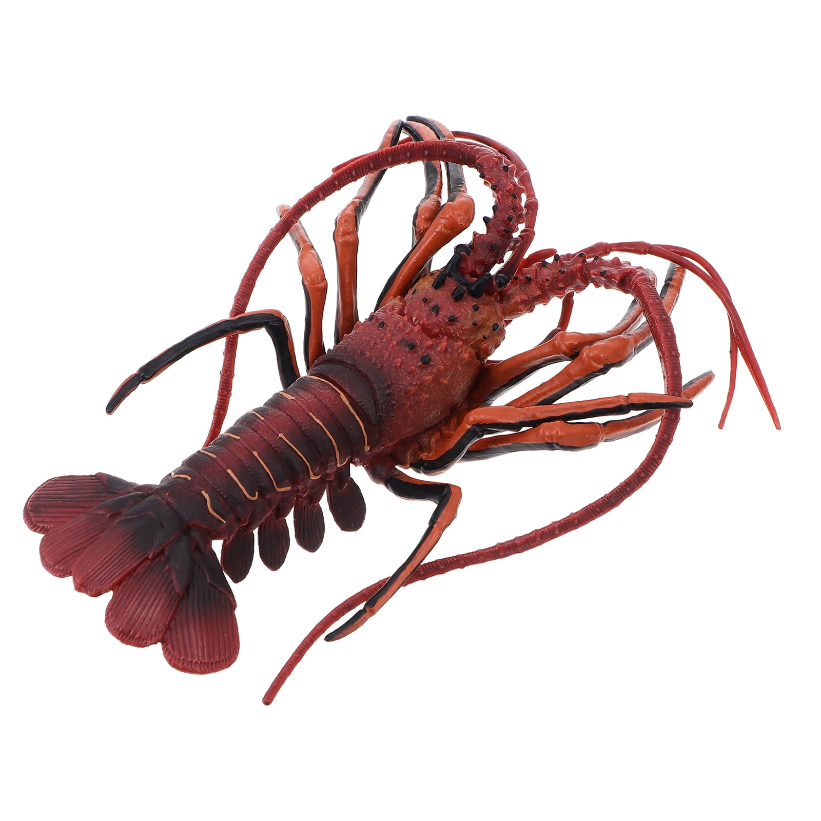 Realistic Plastic Sea Lobster Toy for Decor Red 1 Pc Size 6 5 Inches ...