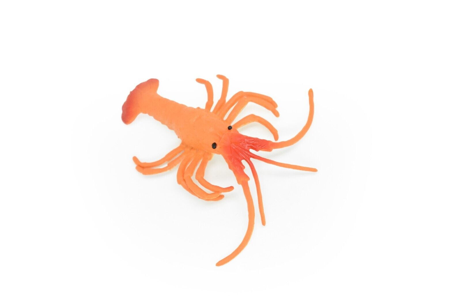 Lobster Toy, California spiny lobster, Realistic Plastic Replica 3 ...